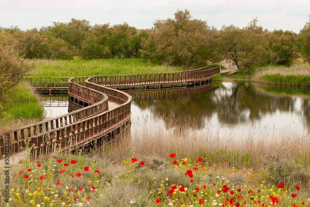 Pasarela de madera sobre el humedal del Parque Nacional de las Tablas ...
