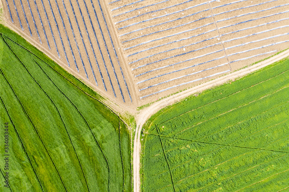 An aerial view of huge agricultural plant fields, divided with path ...