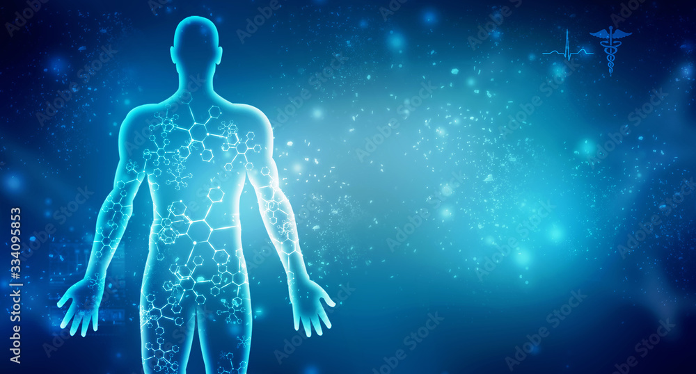 2d illustration Human Male Muscle Body Stock Illustration | Adobe Stock