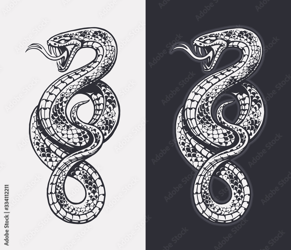 Snake Vector Isolated Stock Vector | Adobe Stock
