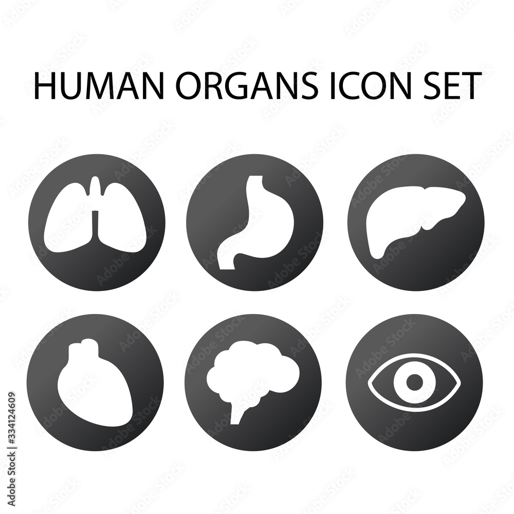 human organs icon set in circle. Lungs, stomach, liver, heart, brain ...