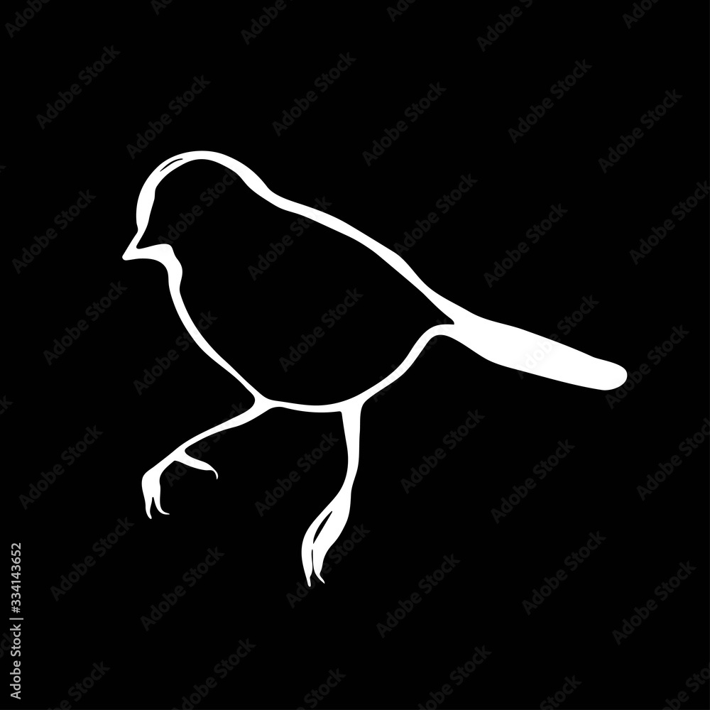 Little bird line drawing. Hand drawn silhouette. Vector illustration ...