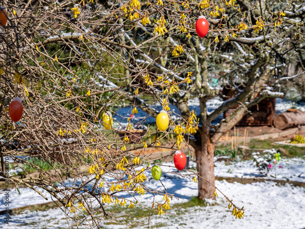 Bunter Osterstrauch im Garten Stock Photo | Adobe Stock