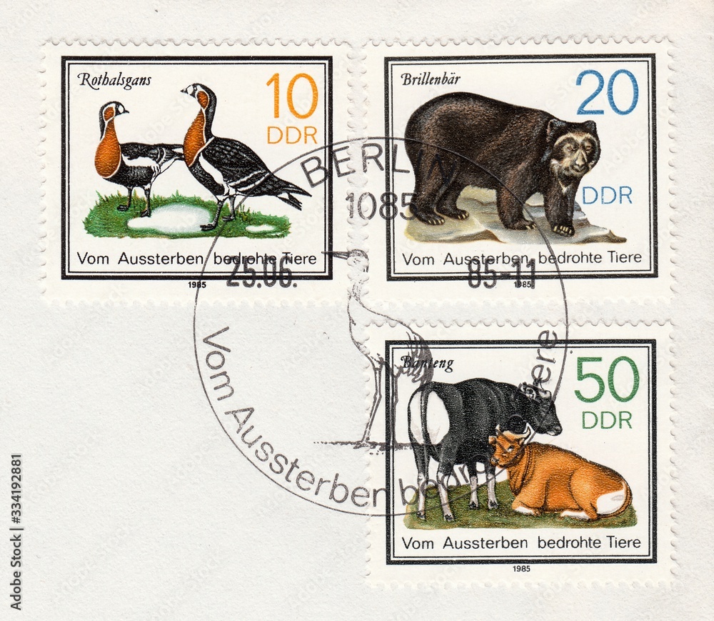 Red-breasted Goose (Branta ruficollis), Spectacled Bear (Tremarctos ...