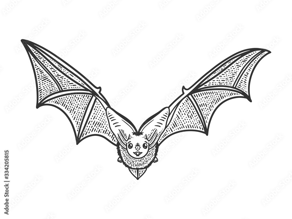 flying bat sketch engraving vector illustration. T-shirt apparel print ...