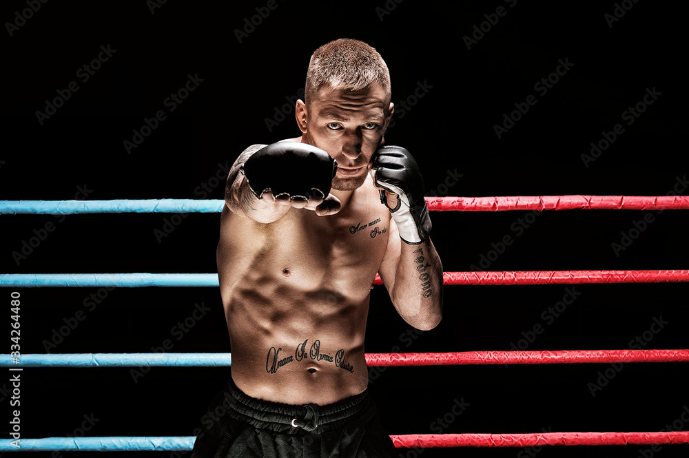 Mixed martial artist posing in boxing ring. Concept of mma, ufc, thai ...