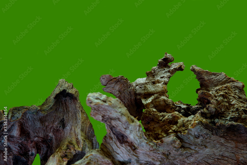 A Tree Stump, Showing the Rough Texture of the Decayed Wood with Rotten ...