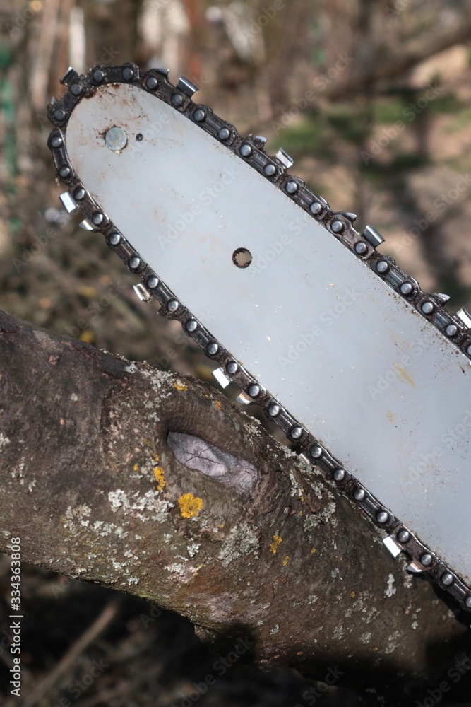 Chainsaw blade of electric chainsaw with cutting chain and guide bar ...