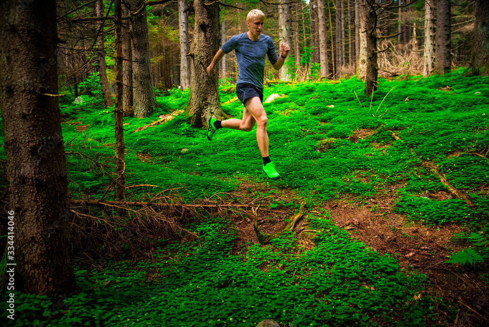 Athletic man running on trail through green forest Stock Photo | Adobe ...