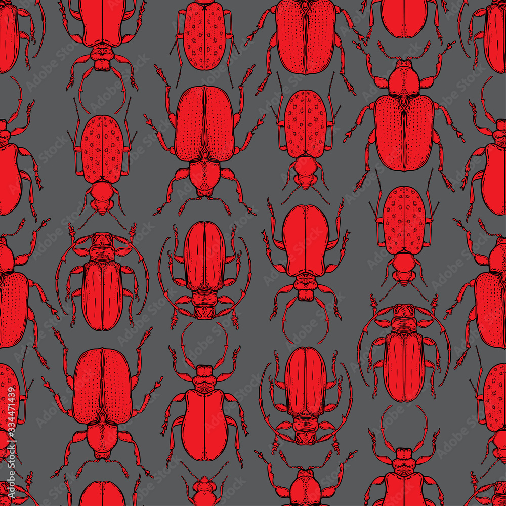 Hand drawn bugs in vintage style. Seamless pattern. Beetles vector ...