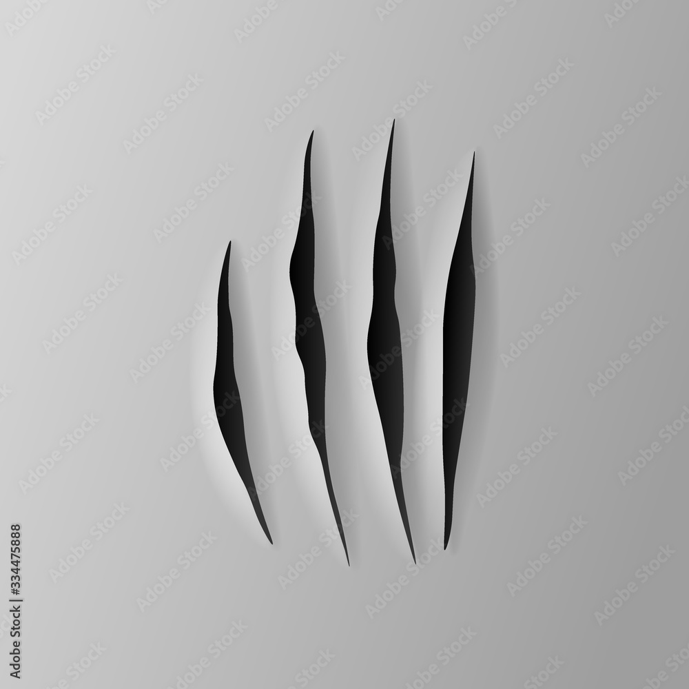 Realistic torn grey paper, four claws scratches with jagged edges in ...