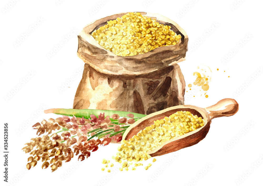 Dry millet grains in the paper bag with ears of millet. Hand drawn ...