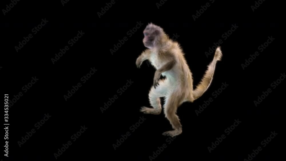 monkeys Dance CG fur 3d rendering animal realistic CGI VFX Animation ...