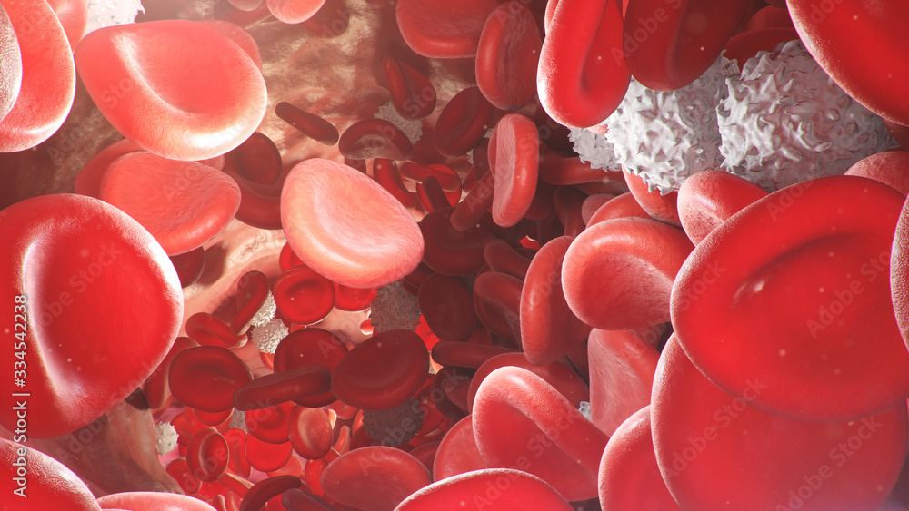 Red blood cells inside an artery, vein. Flow of blood inside a living ...