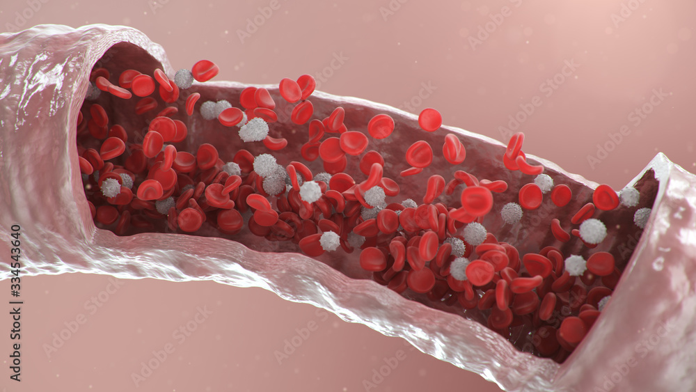3d illustration of red blood cells inside an artery, vein. Healthy ...