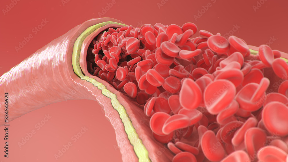 3d illustration of red blood cells inside an artery, vein. Healthy ...