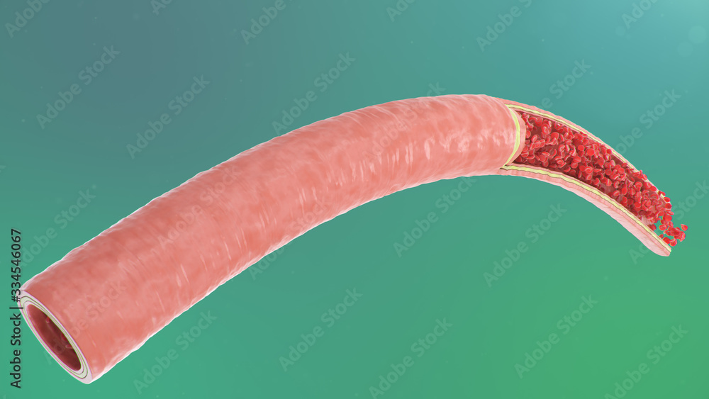 3d illustration of red blood cells inside an artery, vein. Healthy ...