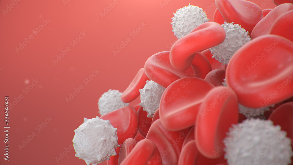 Red blood cells with white blood cells that is immune. Scientific and ...
