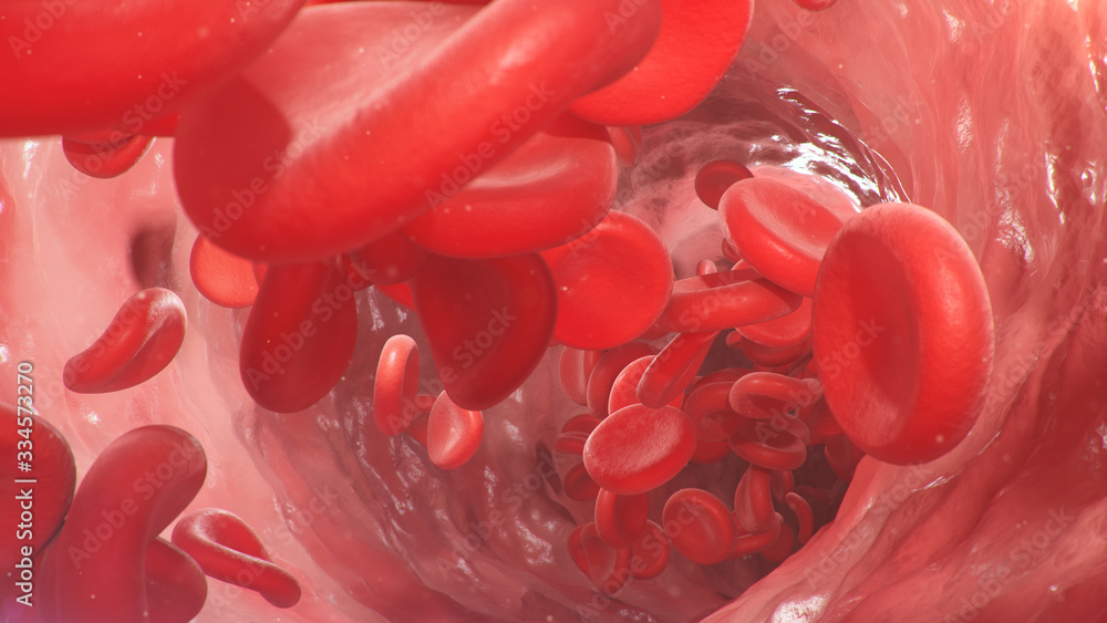 3d illustration of red blood cells inside an artery, vein. The flow of ...