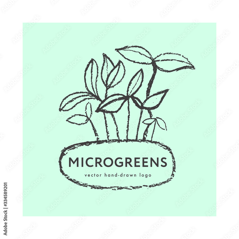Microgreens cultivation label tag. Vector hand-drawn growth logo ...