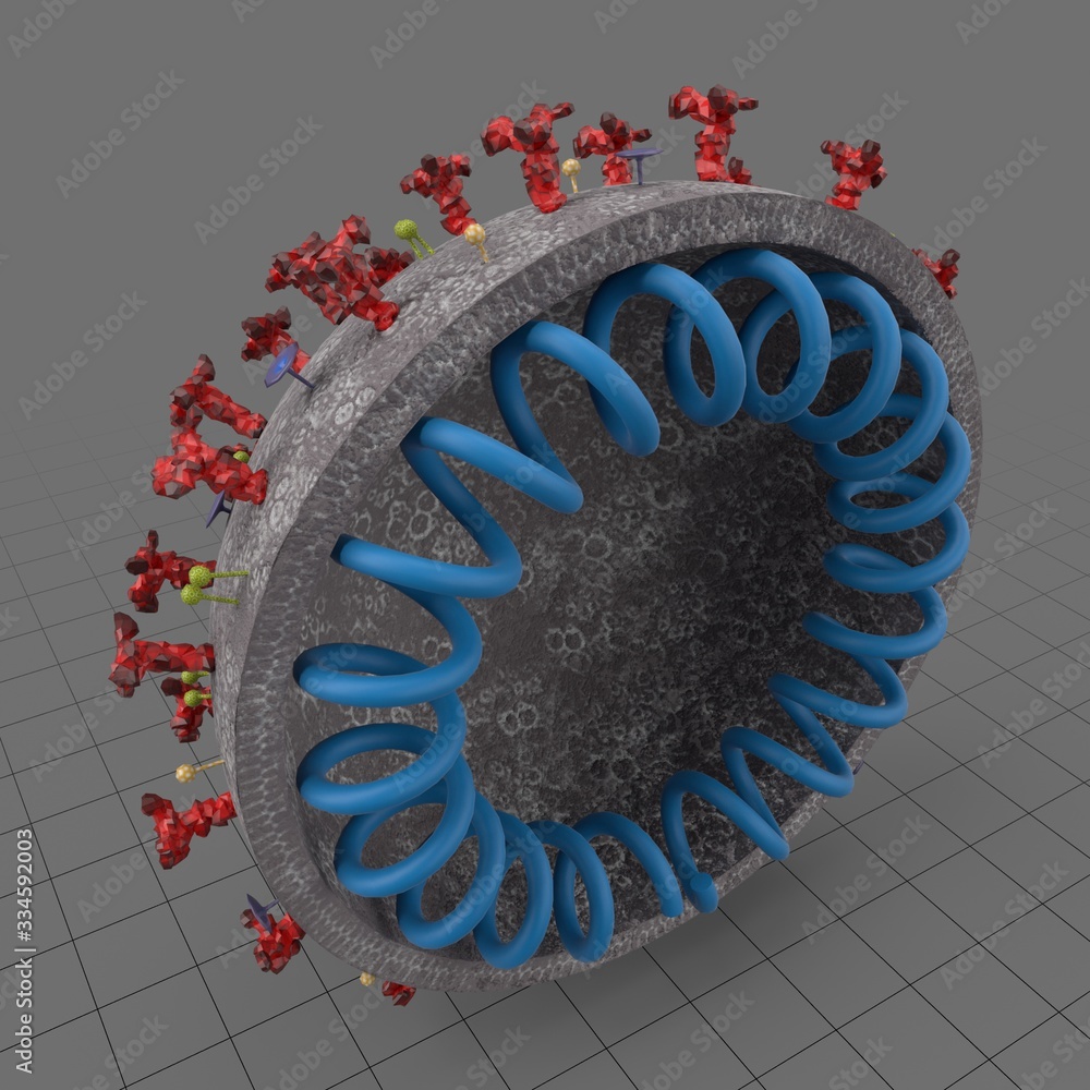 Virus cross section Stock 3D asset | Adobe Stock