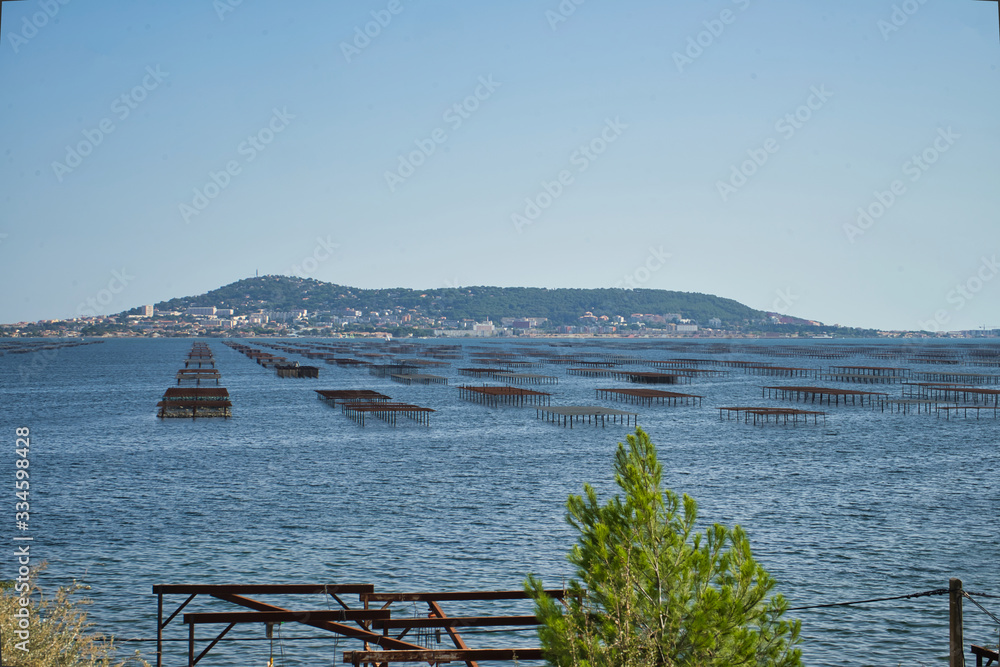 L'étang de Thau est le plus grand plan d'eau de la région Occitanie ...
