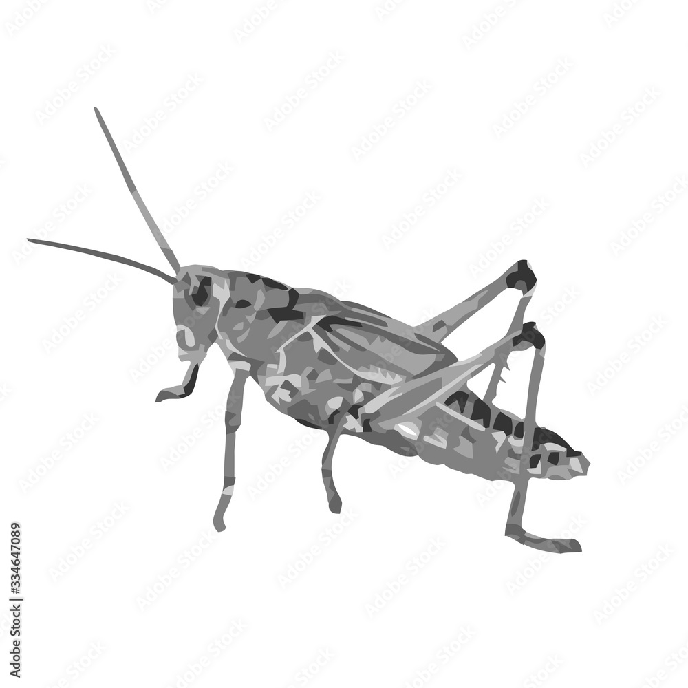 Locust Clipart Stock Vector | Adobe Stock