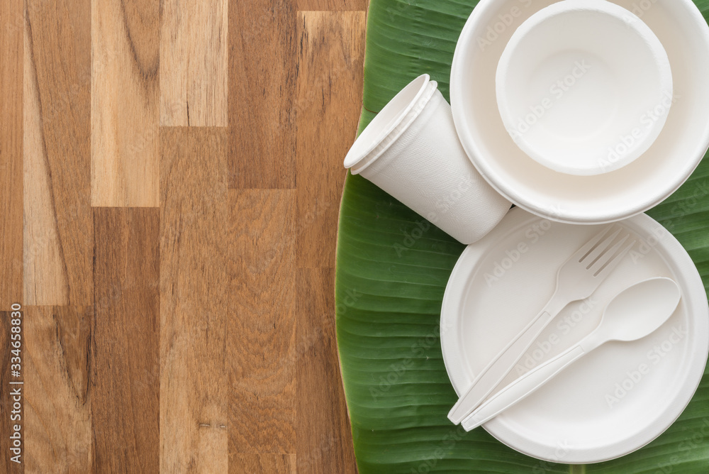 Natural eco-friendly disposable utensils (fork, spoon, dish plate, bowl ...