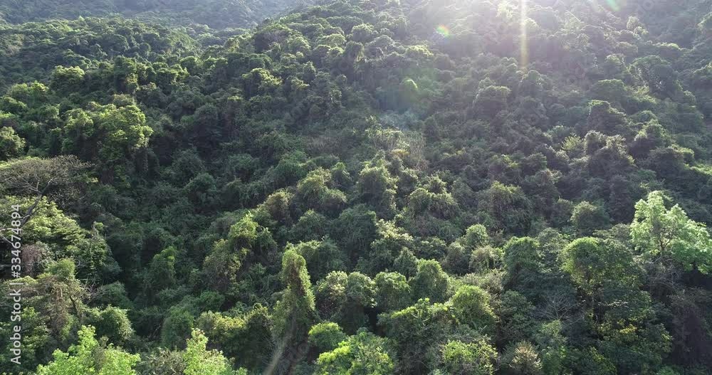 4k footage, aerial view, asia, beautiful, china, dense, environment ...