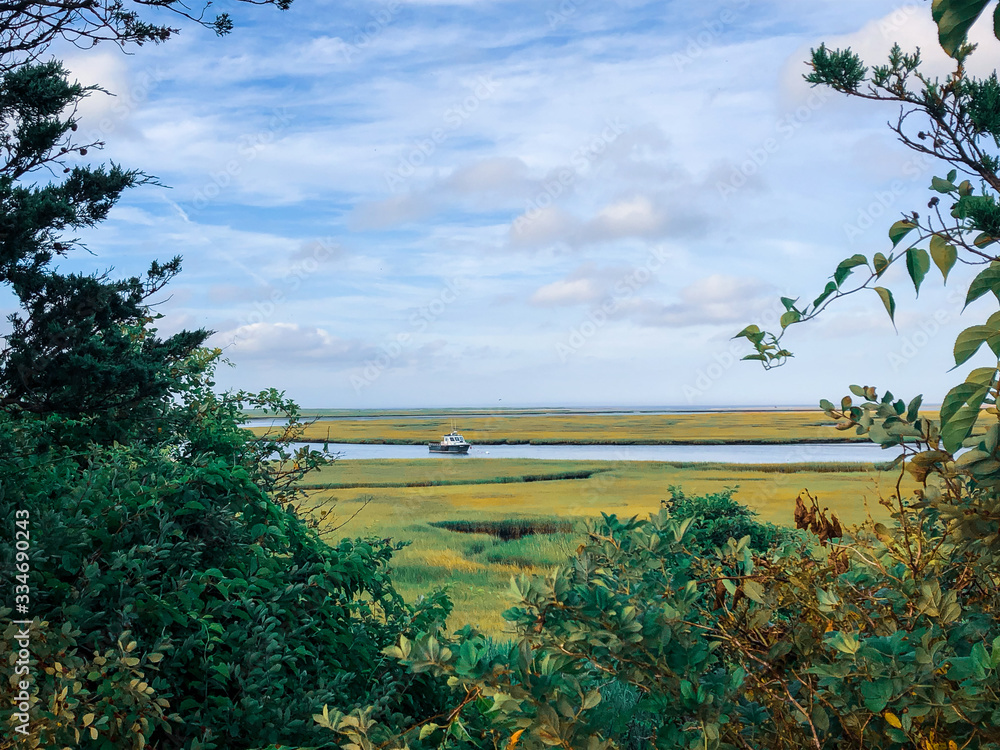 Great Marshes Stock Photo | Adobe Stock