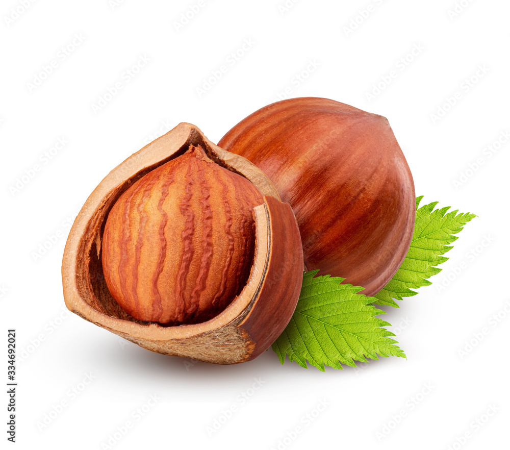 Hazelnut isolated on white background as package design element Stock ...