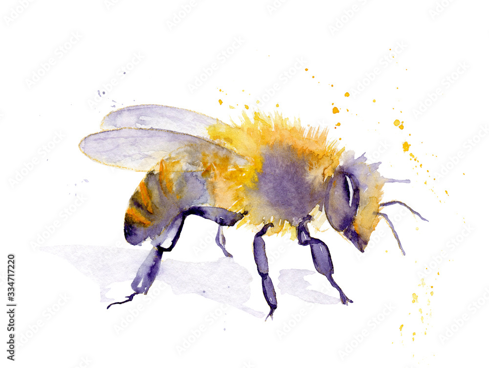 watercolor drawing of an insect - bee from splashes Stock Illustration ...