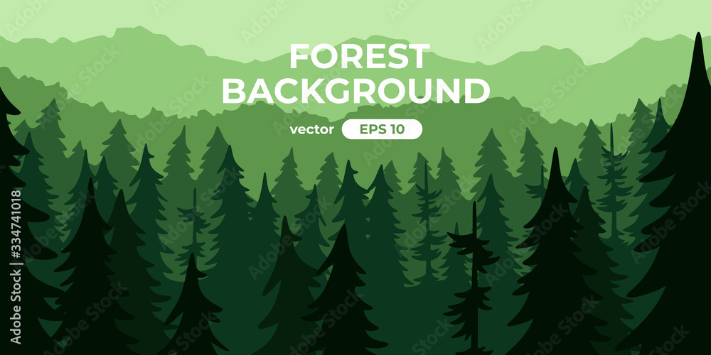 Seamless forest landscape, Colorful silhouette with trees, pines, firs ...