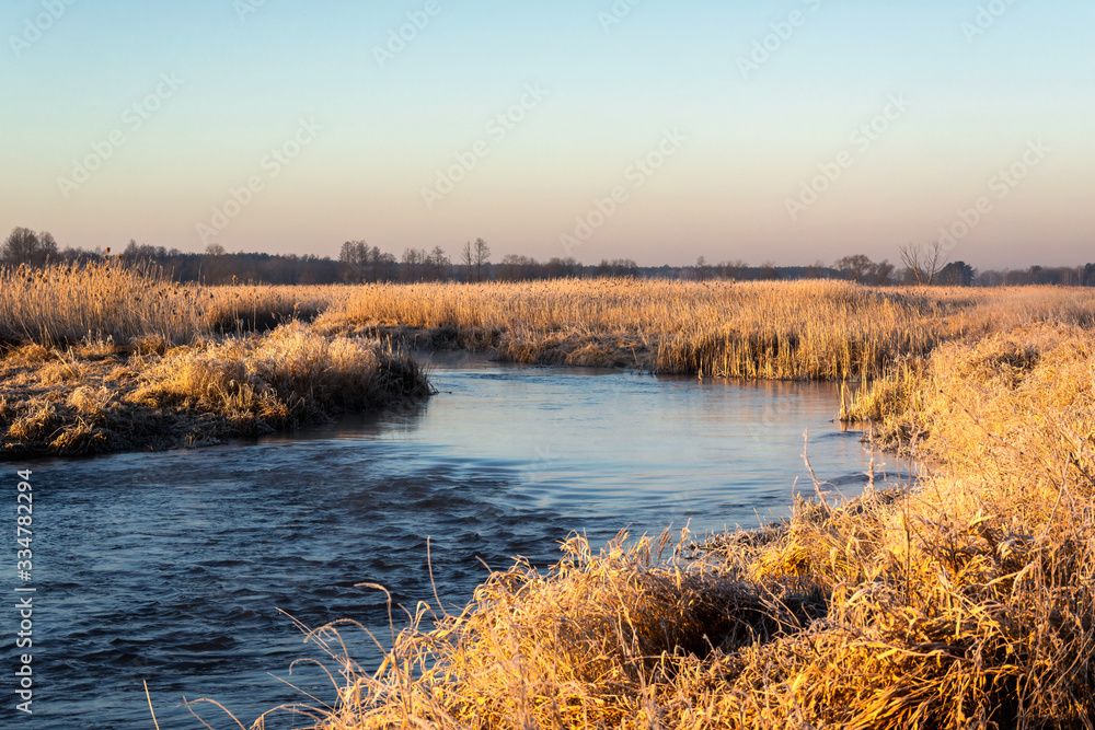 Narwiański Park Narodowy. Rzeka Narew. Polska Amazonia, Podlasie,Polska ...