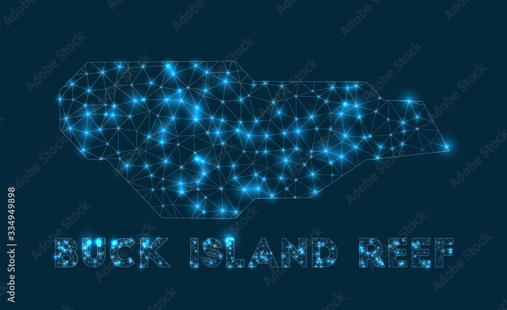Buck Island Reef network map. Abstract geometric map of the island ...