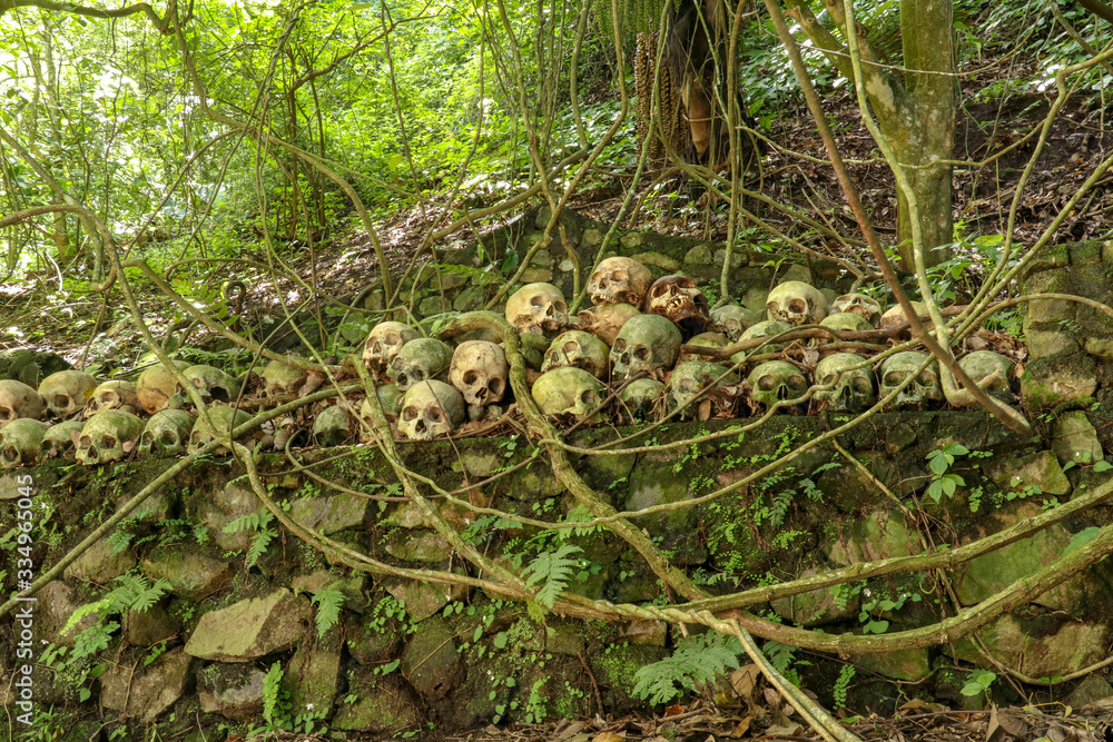 Skulls at Kuburan Terunyan Cemetery on the Island of Bali. Human skulls ...