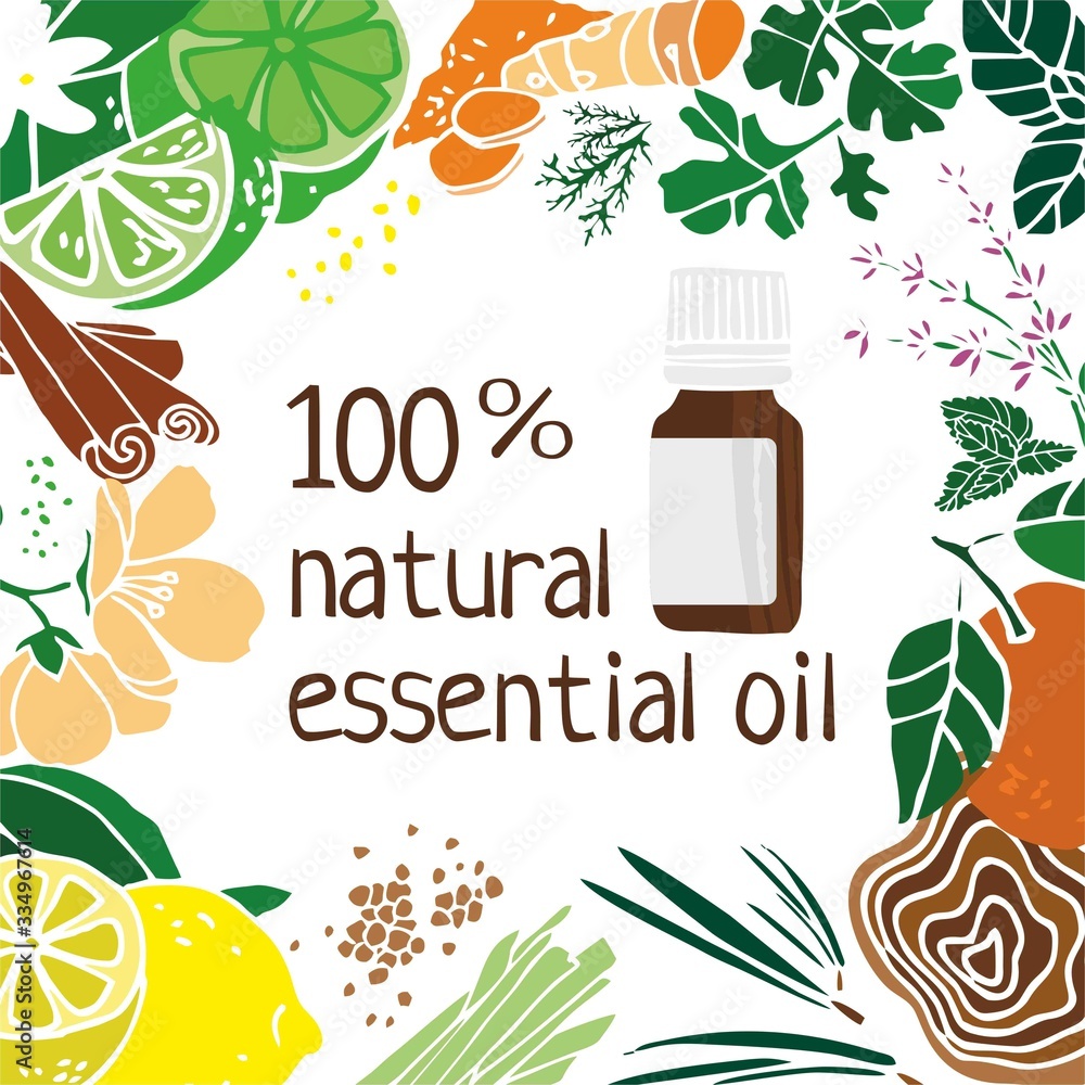 Jar of essential oil surrounded by herbs fruits and flowers, hand-drawn ...