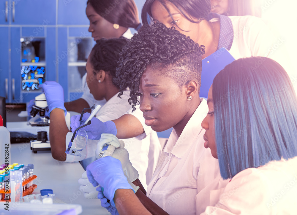 Female African tech women do pcr testing on patients samples in test ...