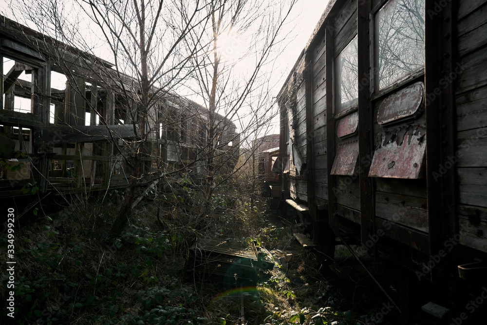Abandoned train depot with various trains and carriages in different ...