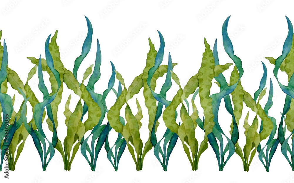 watercolor hand drawn seamless border with green water seaweed algae ...