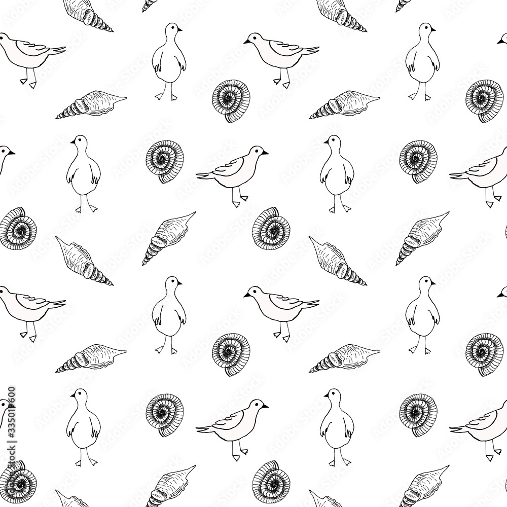 Pattern with seagulls and shells. A sea set on a white background for ...