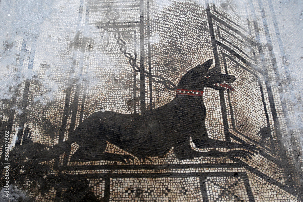 Foto de The mosaic of a guard dog in the vestibule of The House of ...