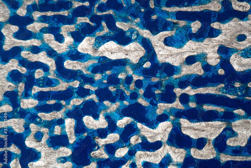 Microscope photo of a petrographic thin section from a recent coral ...
