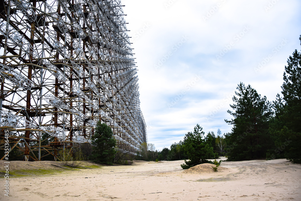 woodpecker tchernobyl radiofrequency transmitter reveiver in the nature ...