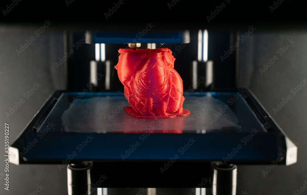 3d printer prints the model of heart, process of printing organs on a ...