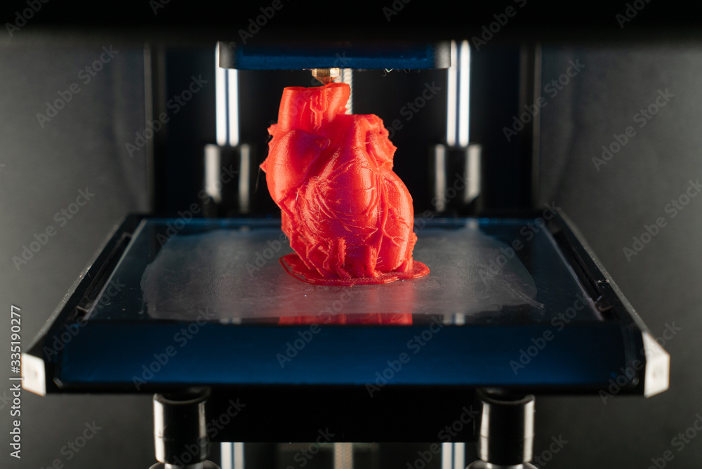 3d printer prints the model of heart, process of printing organs on a ...