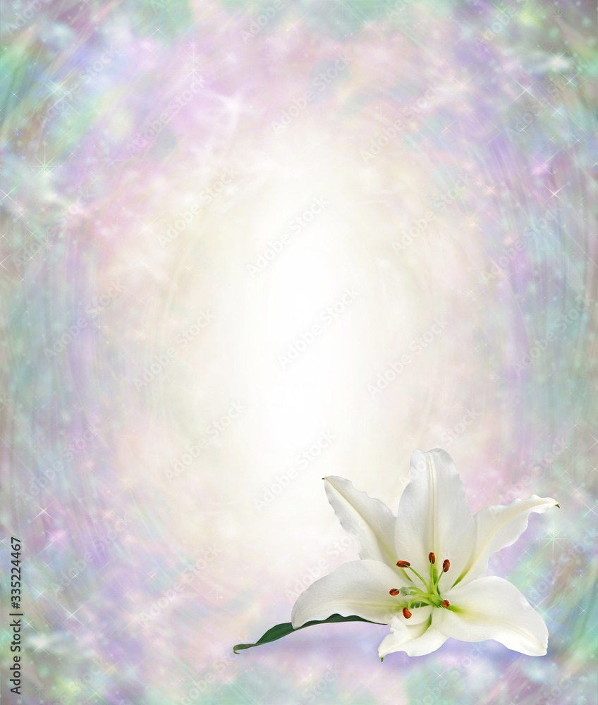 Funeral Wake Order of Service Lily Background - white lily head in ...