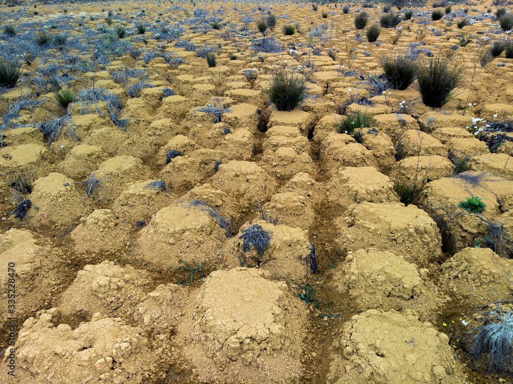 cracked earth, waterless world, the world should not be desert Stock ...