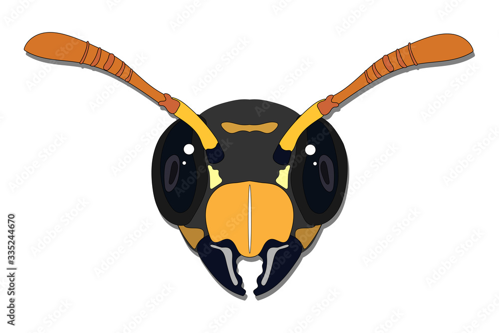 Vector stock illustration wasp head icon from front isolated on white ...