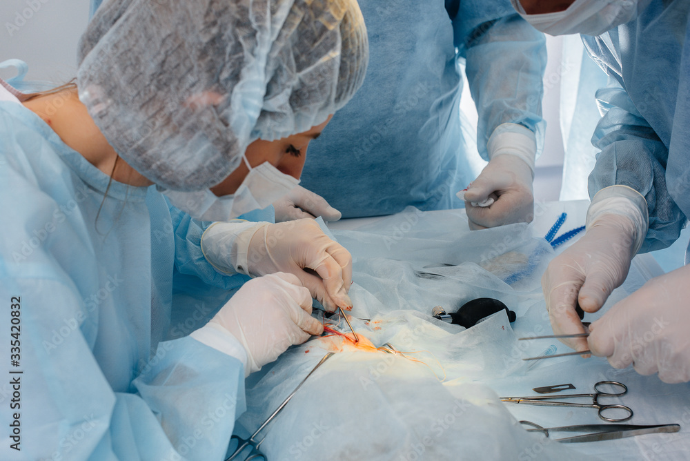 In a modern veterinary clinic, an operation is performed on an animal ...